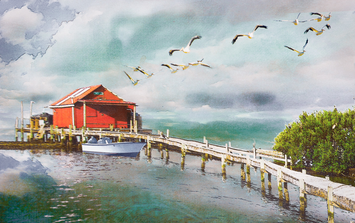The Red Shack - Ron Mayhew