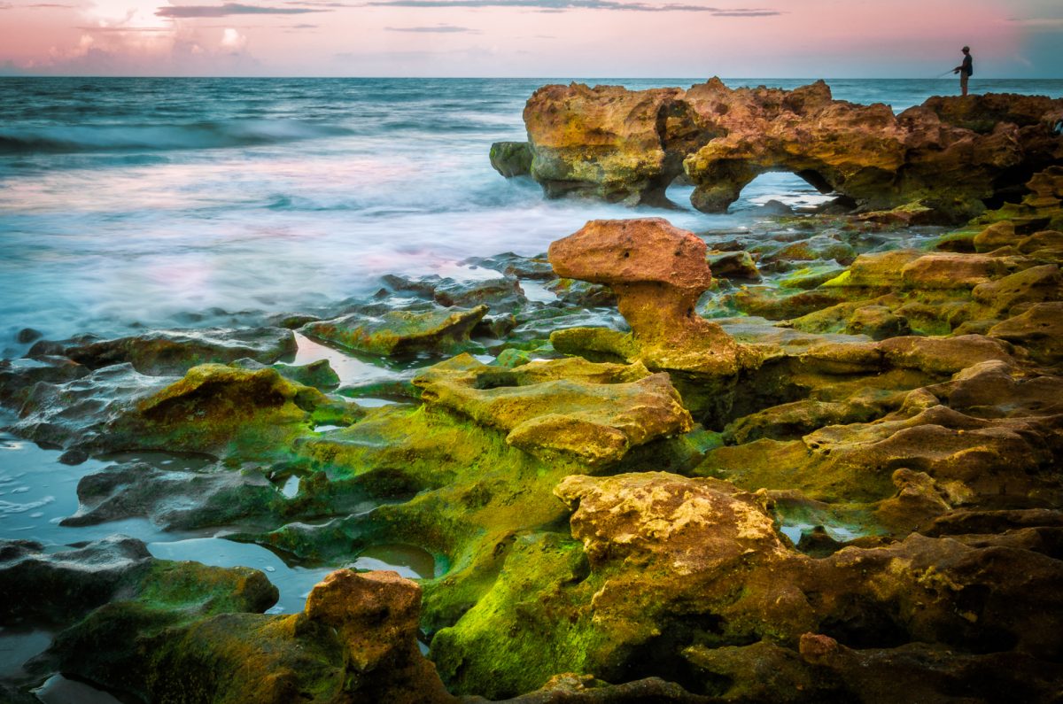 Early Morning Light at Blowing Rocks Preserve|Jupiter, FL - Ron Mayhew