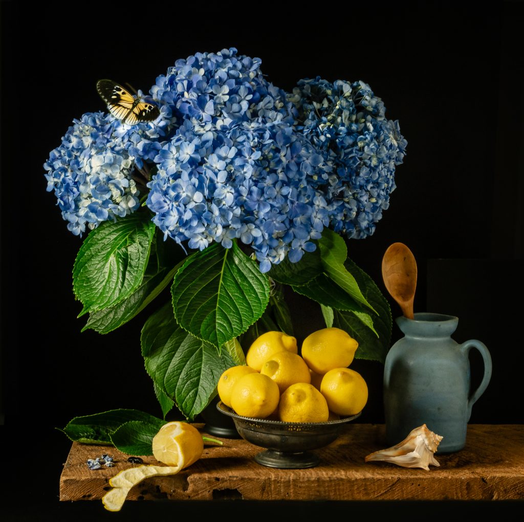 Hydrangeas and Lemons | a Still Life Photograph - Ron Mayhew