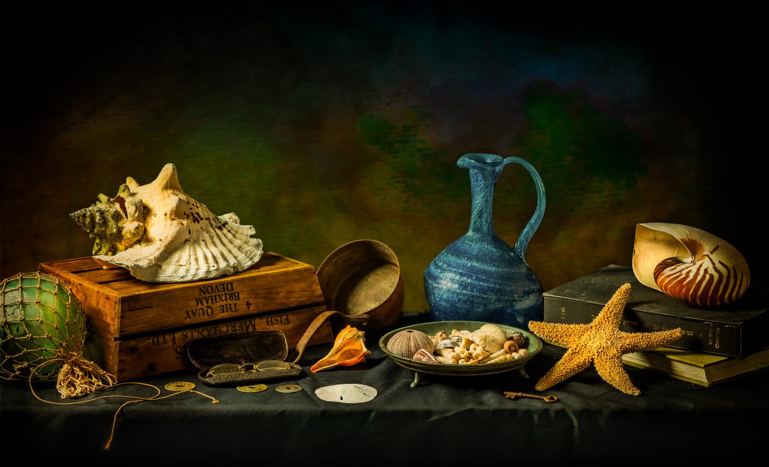 "Shells" | Still Life Photography - Ron Mayhew