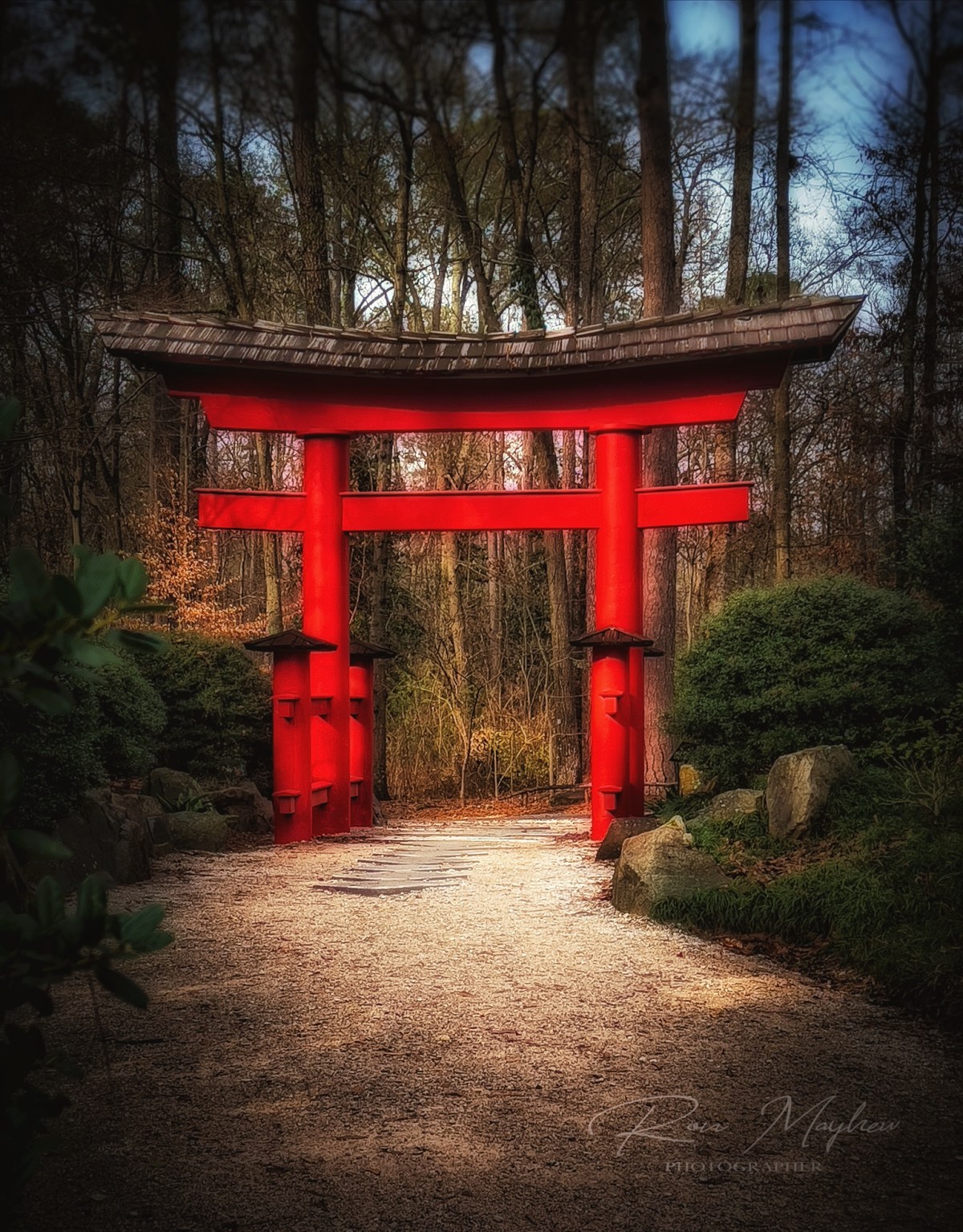 The Torii Gate - Ron Mayhew